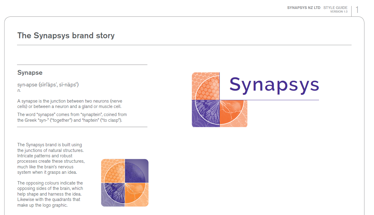 About - Synapsys